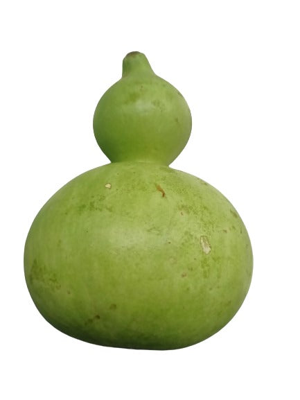 Chinese Bottle guard – Trikaya Online Store