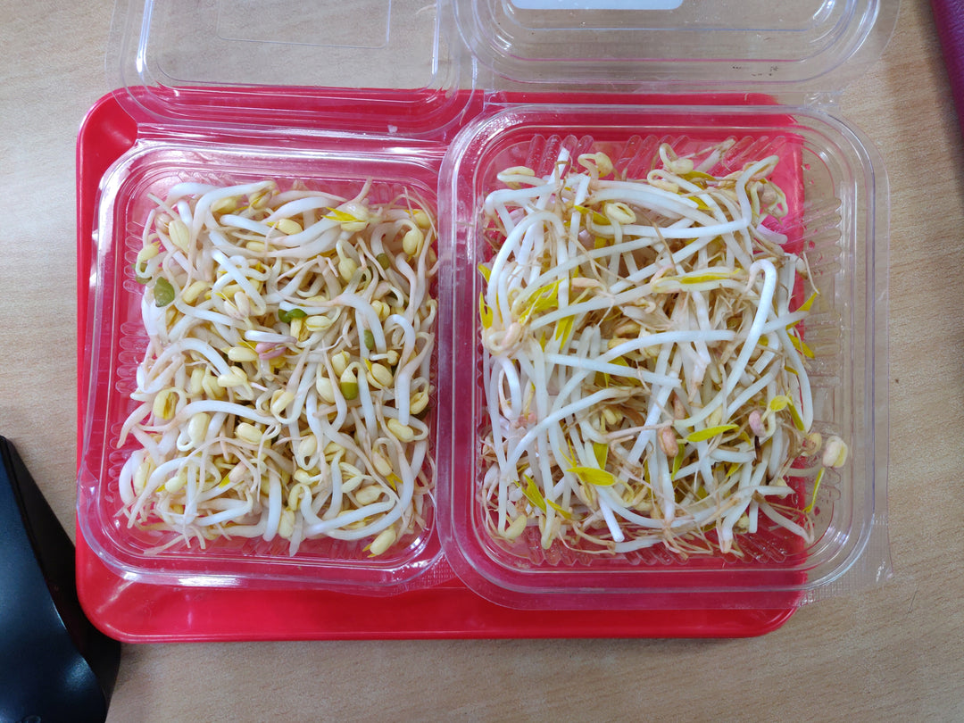 Vegetables – Trikaya Online Store